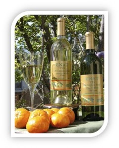 Gesho and Honey Wine | flyingpenguin