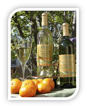 Gesho and Honey Wine | flyingpenguin