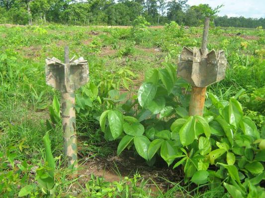 USAF Operation Igloo White | flyingpenguin