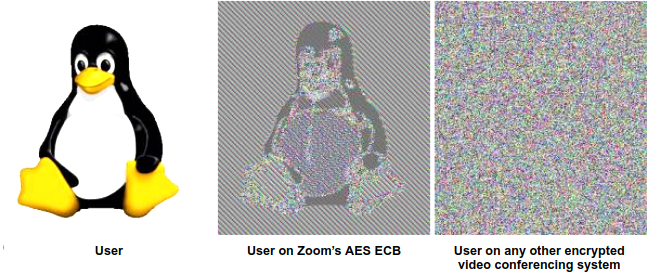 Simple Illustration of Zoom Encryption Failure | flyingpenguin