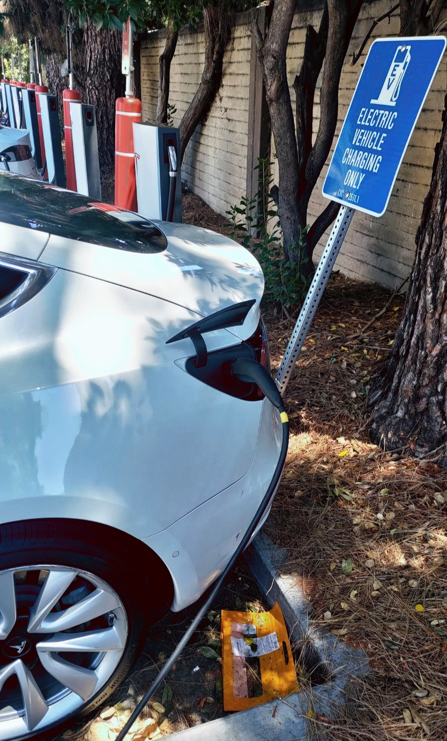 Tesla Owners Keep Crashing Into Poles | flyingpenguin