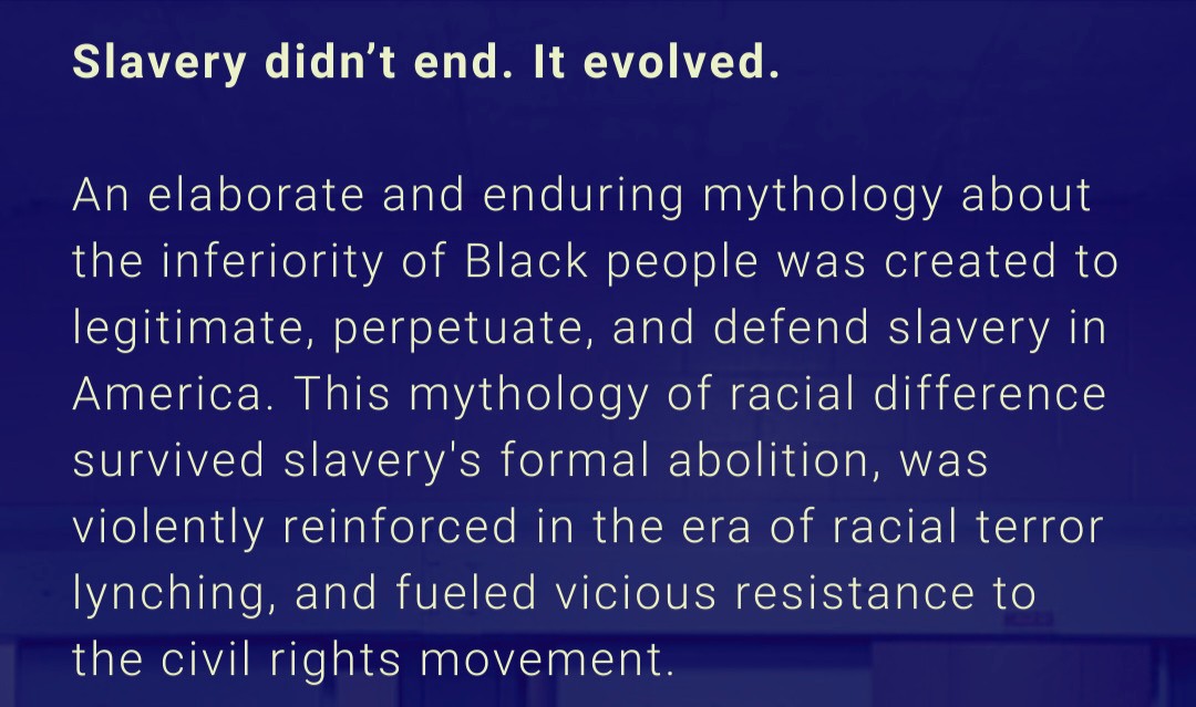 KKK In the House? U.S. Speaker Mike Johnson Elected After Saying Democracy is Bad | flyingpenguin