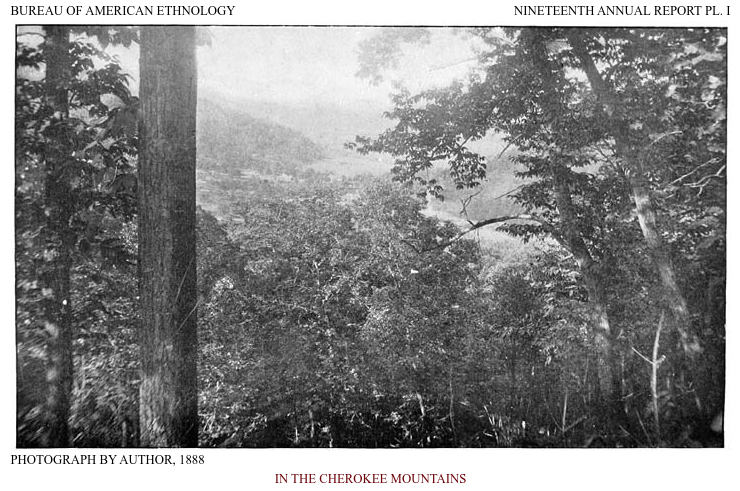 History and Mystery of the Wampus Cat | flyingpenguin