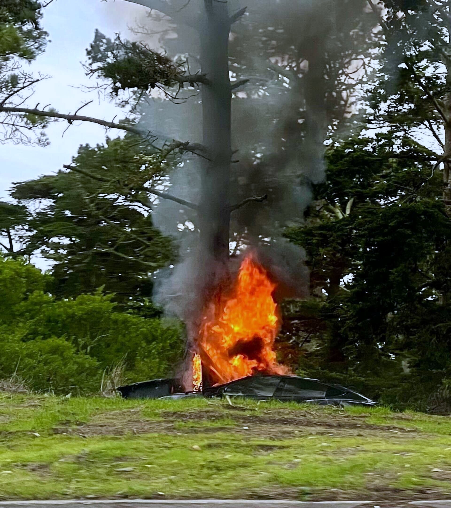 CA Tesla Kills One in “Veered” Crash Into a Tree | flyingpenguin