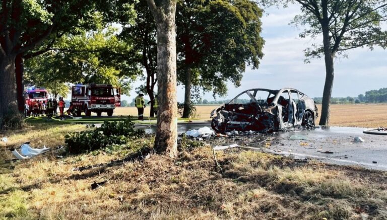 German Tesla Kills One in “Veered” Crash Into Tree | flyingpenguin