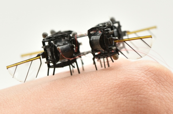 MIT Operationalizes CIA Robotic Insects: Precision Lethality at ...